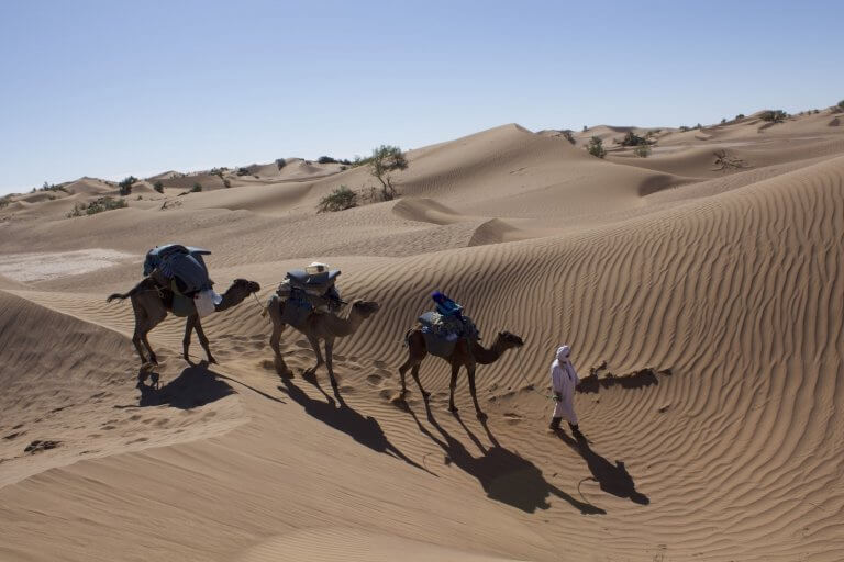 Circuit désert Maroc: 4x4, raid buggy, treks et randonnées au Maroc